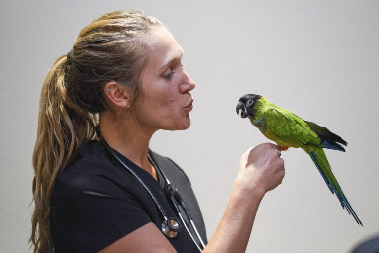 Exotic Pet Vet | Avian & Bird Vet | Denver & Centennial